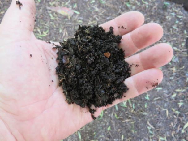 Maak jou eie kompos – Die wêreld om ons