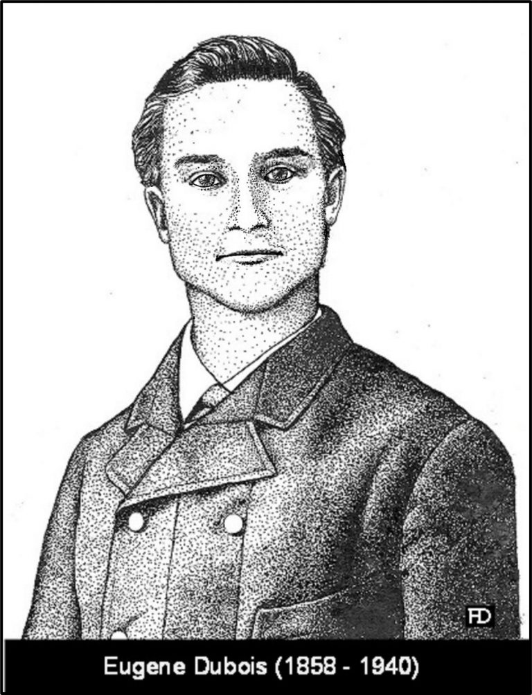 Evolusie van die mens 2: Java Man (Homo erectus) – Die wêreld om ons